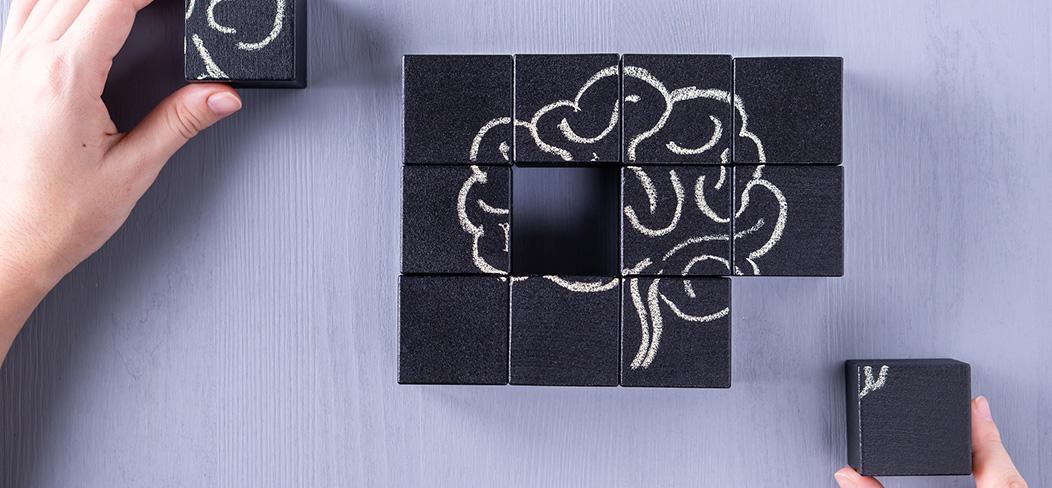 Solving the Behavior Puzzle: Making Connections for Individuals with ...